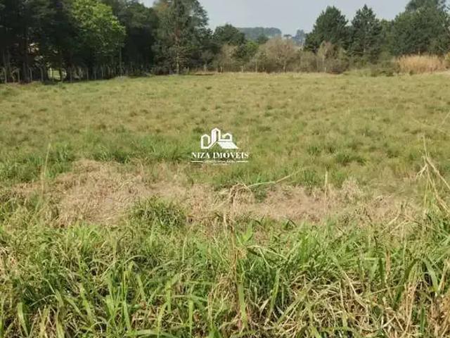 Terreno / Lote para Venda em Piraquara/PR Planta Laranjeiras