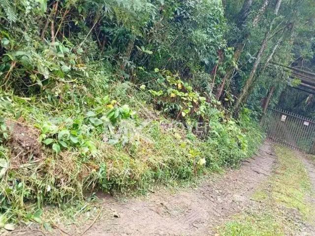 Terreno / Lote para Venda em Piraquara/PR Recreio da Serra