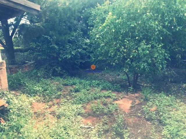 Terreno / Lote para Venda em Piratininga/SP Centro