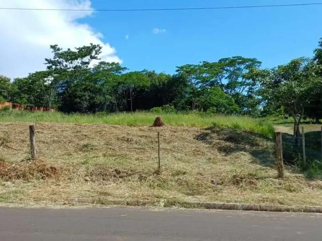 Terreno / Lote para Venda em Piratininga/SP Centro
