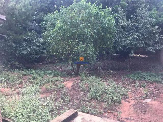 Terreno / Lote para Venda em Piratininga/SP Centro