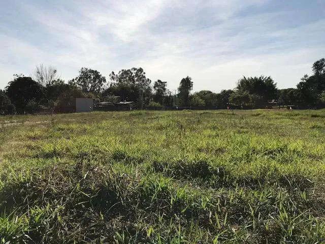 Terreno / Lote para Venda em Piratininga/SP Centro