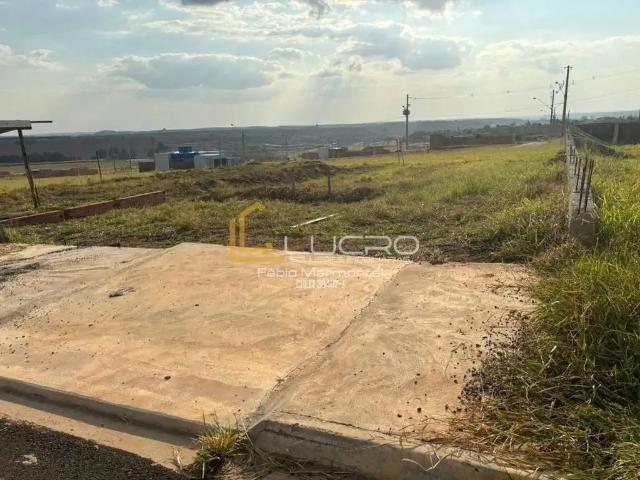 Terreno / Lote para Venda em Piratininga/SP Centro