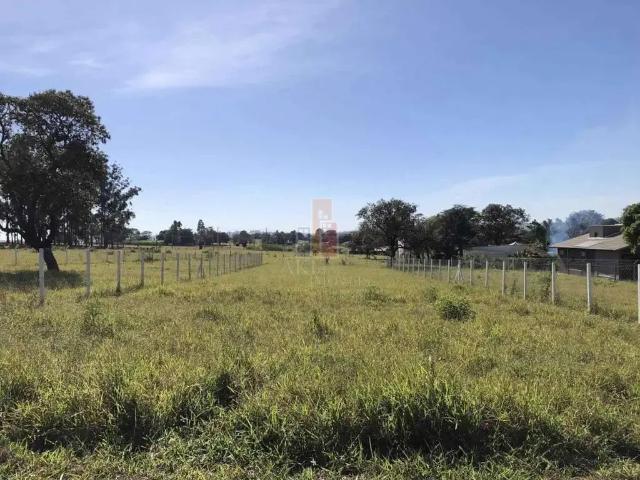 Terreno / Lote para Venda em Piratininga/SP Jardim Ibituruna
