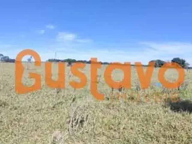 Terreno / Lote para Venda em Piratininga/SP Zona Rural