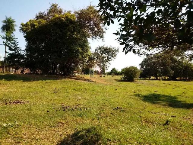Terreno / Lote para Venda em Piratininga/SP Zona Rural