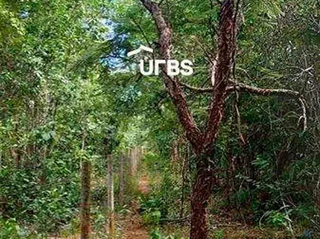 Terreno / Lote para Venda em Pirenópolis/GO Zona Rural