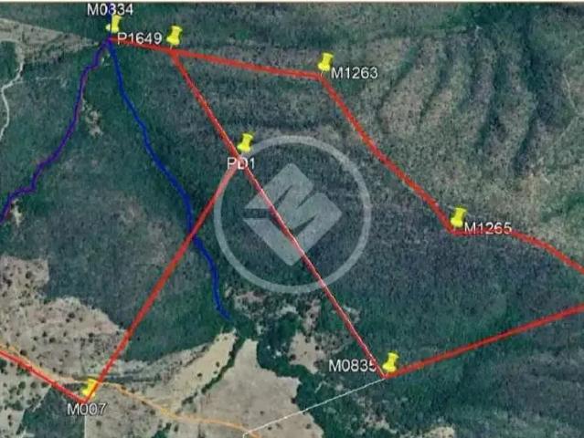 Terreno / Lote para Venda em Pirenópolis/GO Zona Rural 1 Quartos
