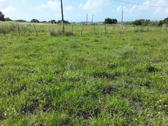 Terreno / Lote para Venda em Pitimbu/PB Centro