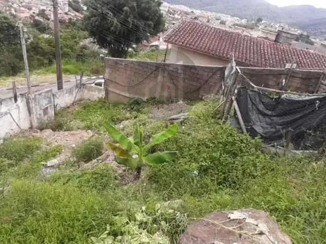Terreno / Lote para Venda em Poços de Caldas/MG Campo do Retirinho