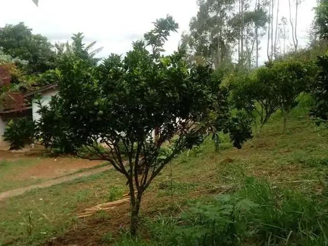 Terreno / Lote para Venda em Poços de Caldas/MG Chácaras Poços de Caldas