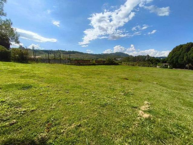 Terreno / Lote para Venda em Poços de Caldas/MG Centro