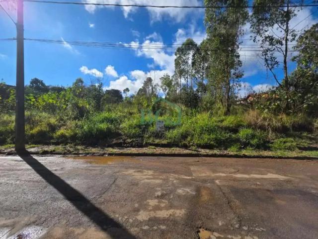 Terreno / Lote para Venda em Poços de Caldas/MG Chácaras Poços de Caldas