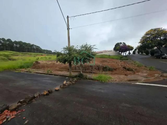 Terreno / Lote para Venda em Poços de Caldas/MG Jardim Carolina