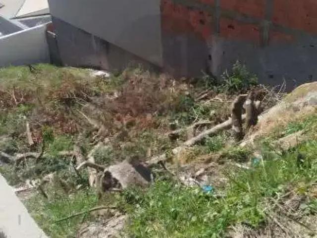 Terreno / Lote para Venda em Poços de Caldas/MG Jardim Bandeirantes