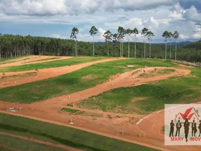 Terreno / Lote para Venda em Poços de Caldas/MG Jardim Europa