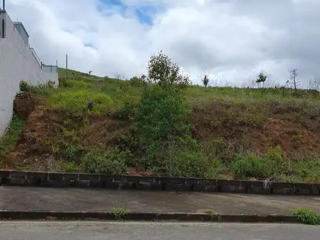 Terreno / Lote para Venda em Poços de Caldas/MG Jardim Europa