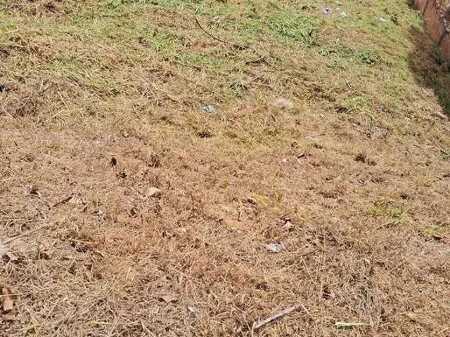 Terreno / Lote para Venda em Poços de Caldas/MG Jardim Vitória