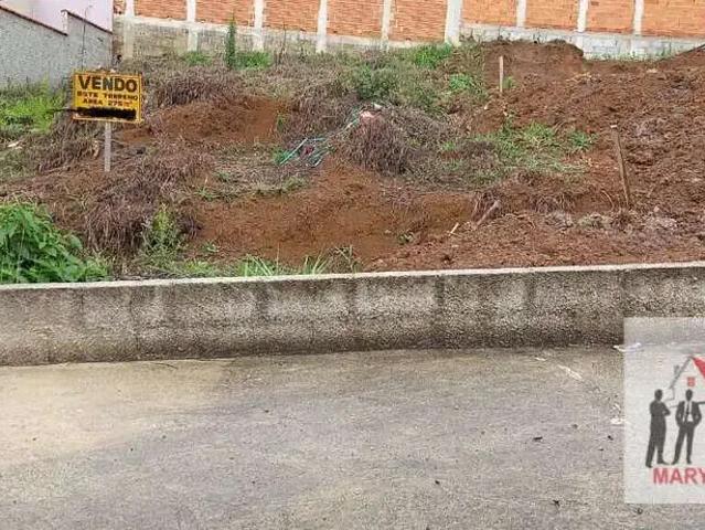 Terreno / Lote para Venda em Poços de Caldas/MG Loteamento Residencial Tiradentes