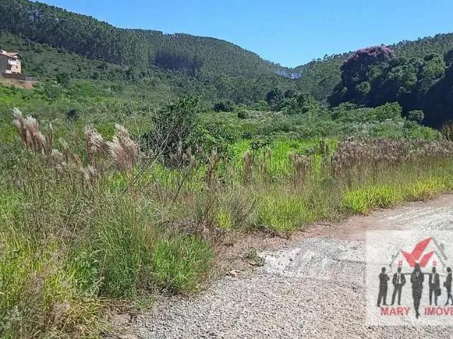 Terreno / Lote para Venda em Poços de Caldas/MG Loteamento Residencial Tiradentes