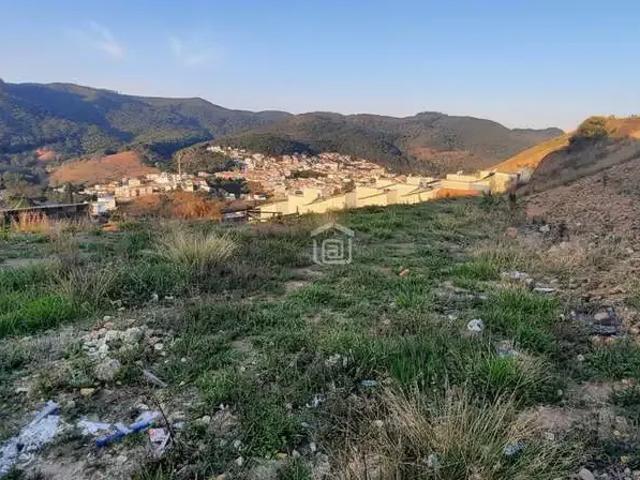 Terreno / Lote para Venda em Poços de Caldas/MG Monte Verde