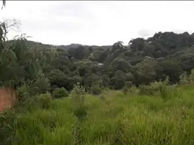 Terreno / Lote para Venda em Poços de Caldas/MG Morada dos Pássaros