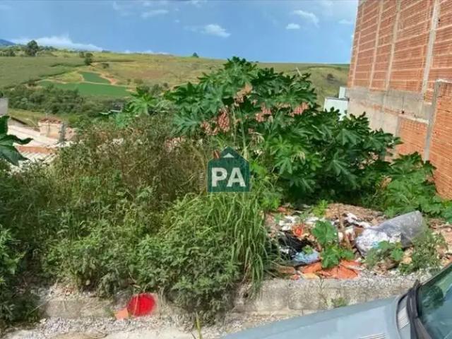Terreno / Lote para Venda em Poços de Caldas/MG Parque das Nações
