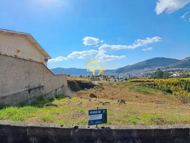 Terreno / Lote para Venda em Poços de Caldas/MG Parque San Carlo