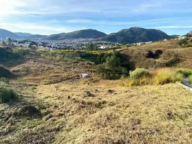 Terreno / Lote para Venda em Poços de Caldas/MG Parque San Carlo