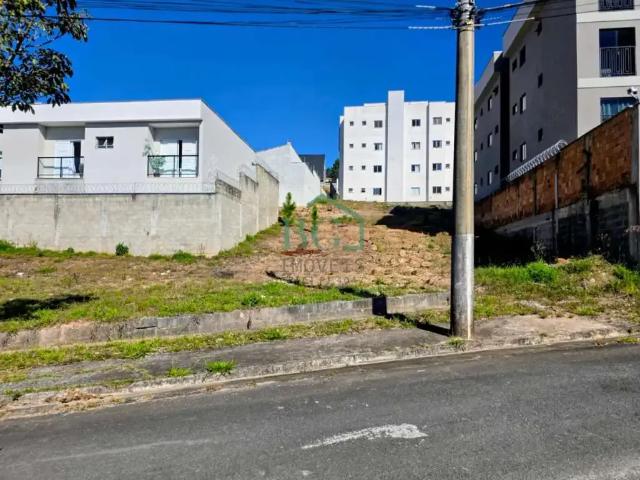Terreno / Lote para Venda em Poços de Caldas/MG Parque San Carlo