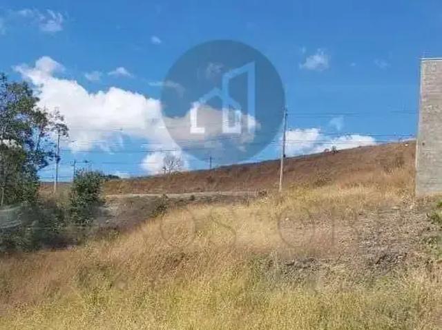 Terreno / Lote para Venda em Poços de Caldas/MG Santa Maria