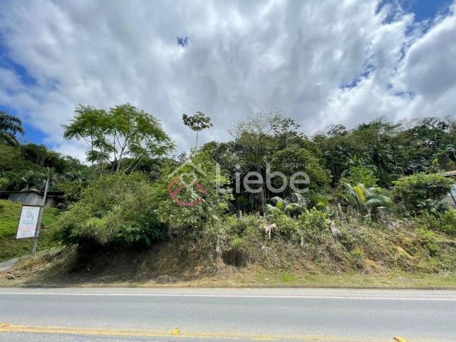 Terreno / Lote para Venda em Pomerode/SC Centro