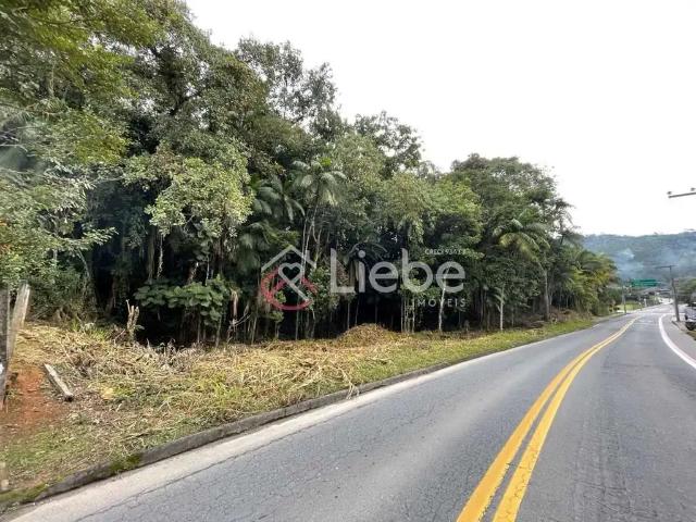 Terreno / Lote para Venda em Pomerode/SC Centro