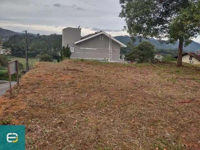 Terreno / Lote para Venda em Pomerode/SC Ribeirão Areia