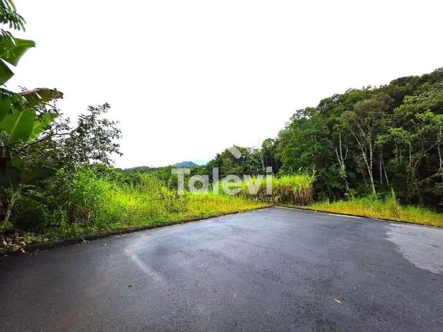 Terreno / Lote para Venda em Pomerode/SC Testo Rega