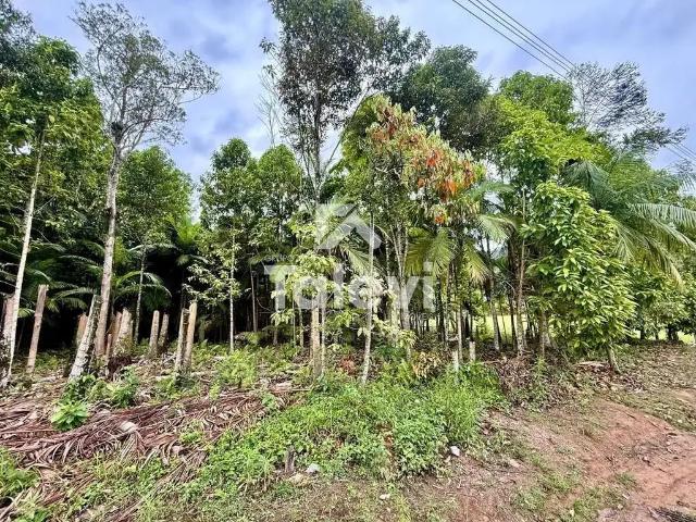 Terreno / Lote para Venda em Pomerode/SC Testo Alto