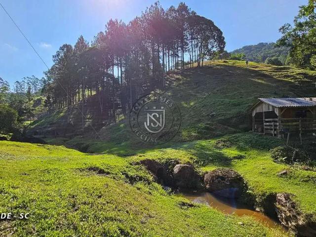 Terreno / Lote para Venda em Pomerode/SC Testo Central