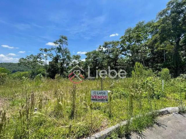 Terreno / Lote para Venda em Pomerode/SC Testo Central