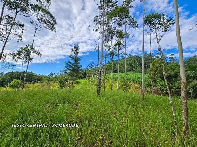 Terreno / Lote para Venda em Pomerode/SC Testo Central