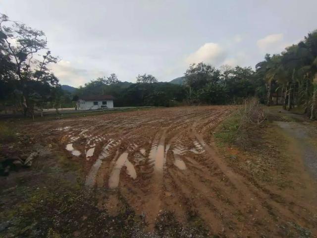 Terreno / Lote para Venda em Pomerode/SC Testo Rega