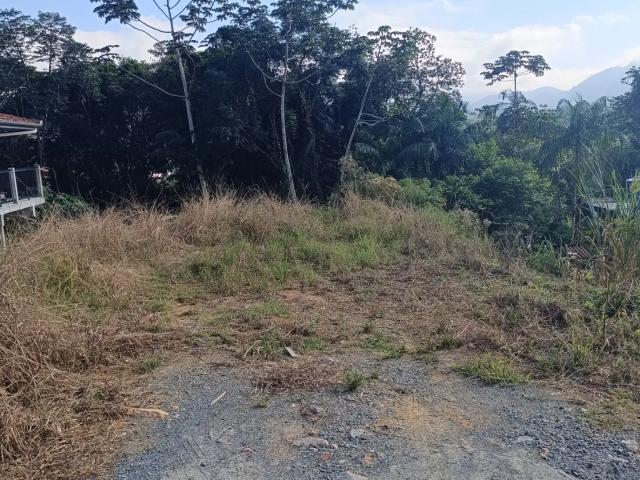 Terreno / Lote para Venda em Pomerode/SC Testo Rega
