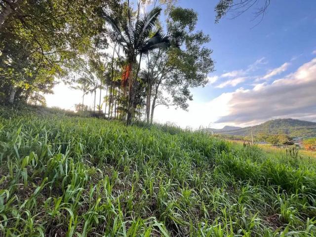 Terreno / Lote para Venda em Pomerode/SC Wunderwald