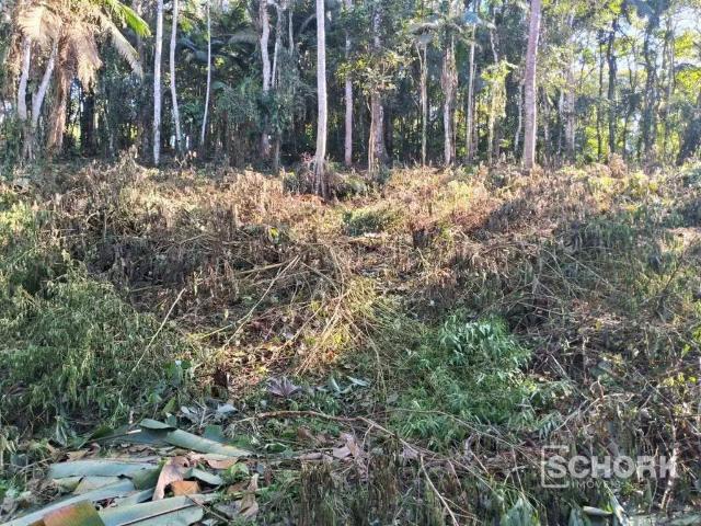 Terreno / Lote para Venda em Pomerode/SC Wunderwald