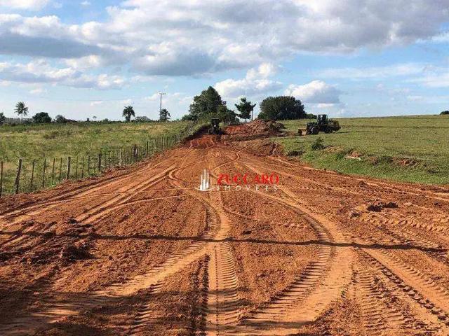 Terreno / Lote para Venda em Pompéia/SP Centro