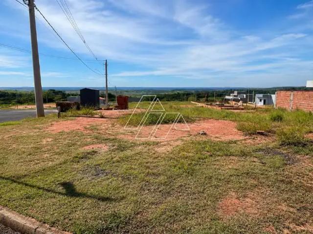 Terreno / Lote para Venda em Pompéia/SP Vila Pompeia