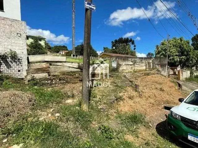 Terreno / Lote para Venda em Ponta Grossa/PR Uvaranas
