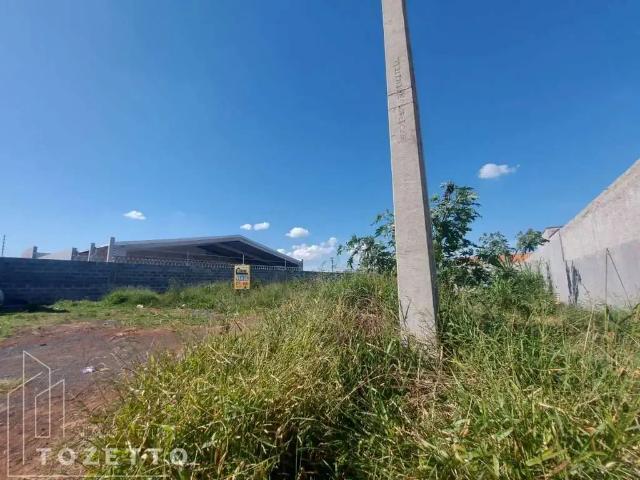 Terreno / Lote para Venda em Ponta Grossa/PR Uvaranas