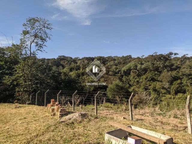 Terreno / Lote para Venda em Ponta Grossa/PR Uvaranas