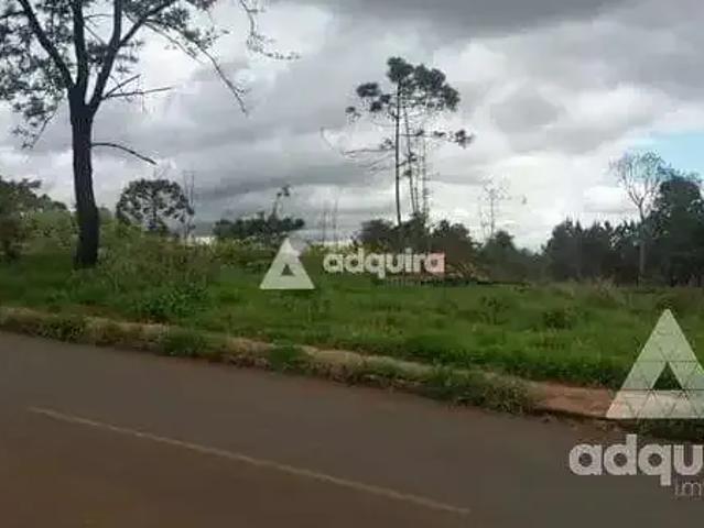 Terreno / Lote para Venda em Ponta Grossa/PR Uvaranas