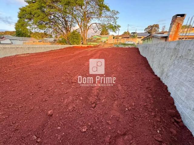 Terreno / Lote para Venda em Ponta Grossa/PR Uvaranas